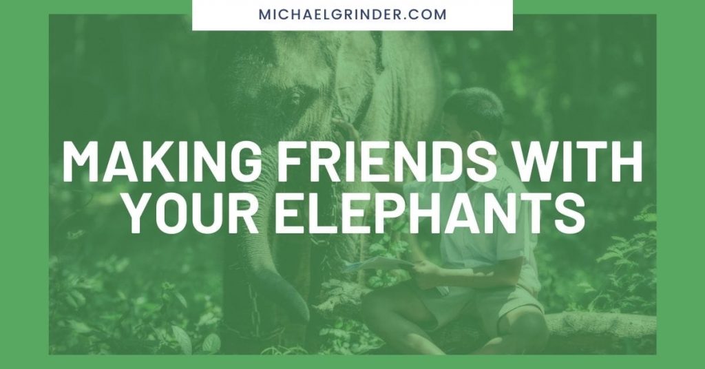 Making Friends With Your Elephants – Michael Grinder & Associates